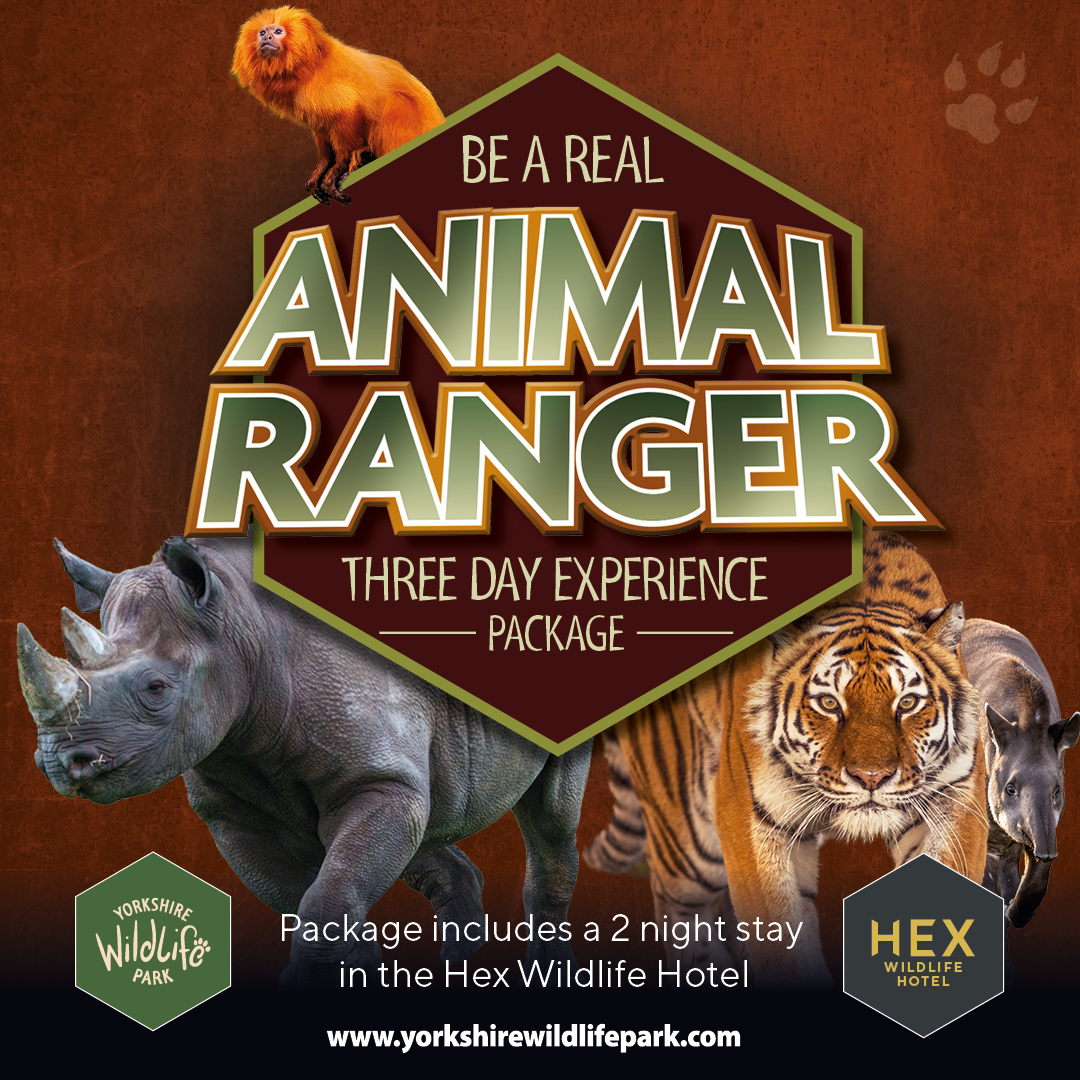 Real Ranger Experience | Yorkshire Wildlife Park